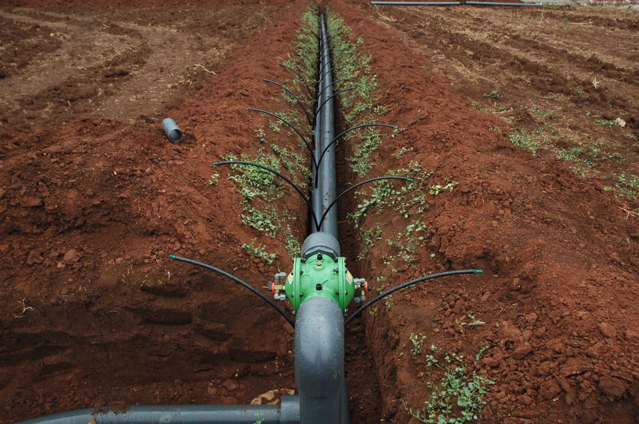 Reconversion collective au niveau de l’ORMVA du Tadla - ORMVAT